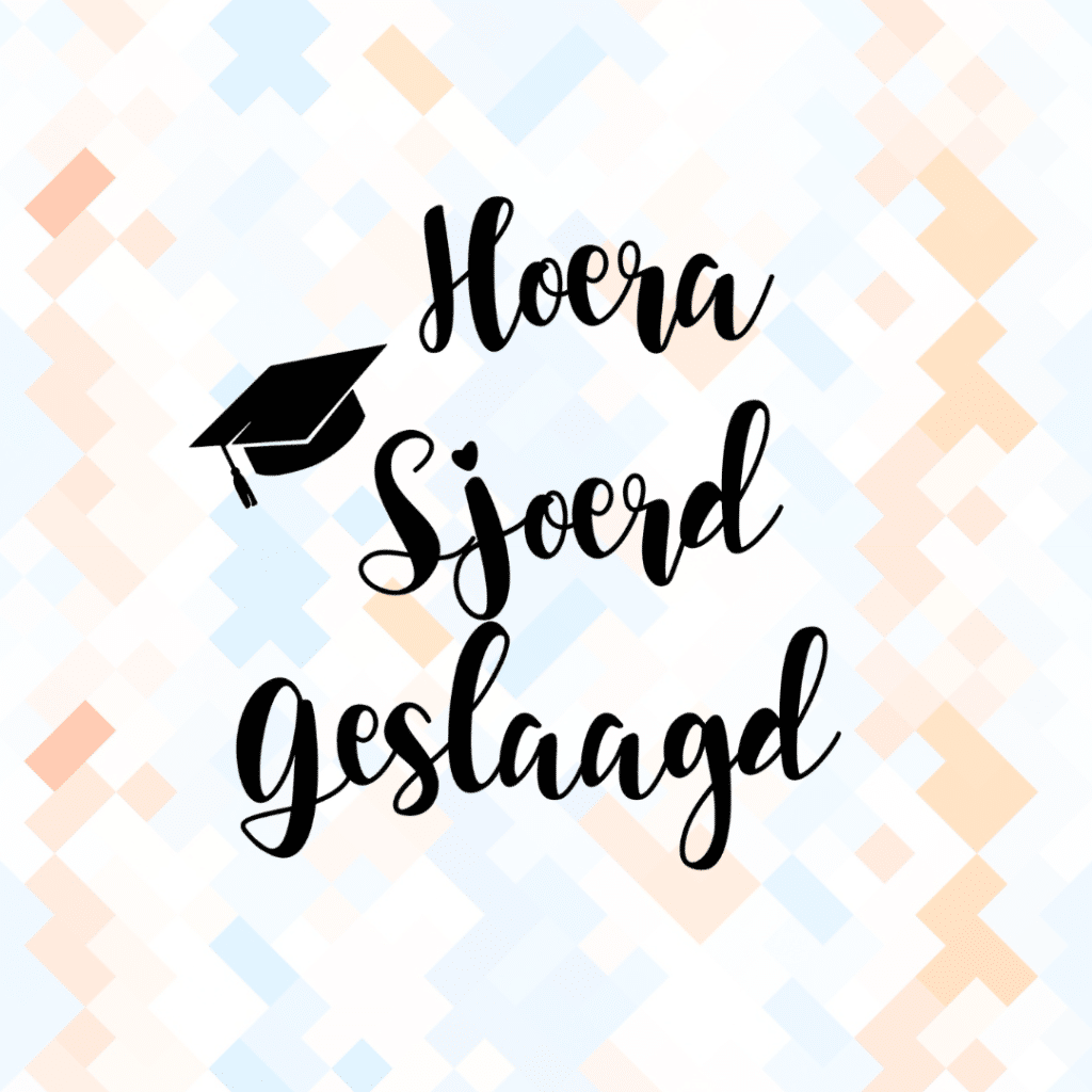 Raamsticker Hoera Geslaagd - Pindolleke